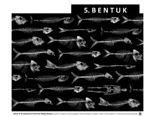 Lay out media grafis | PPT