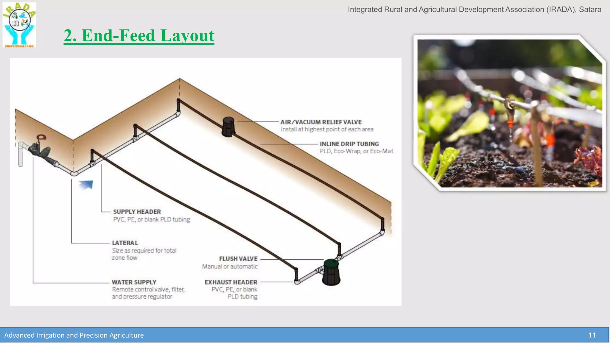 Layout of drip irrigation system | PPTX