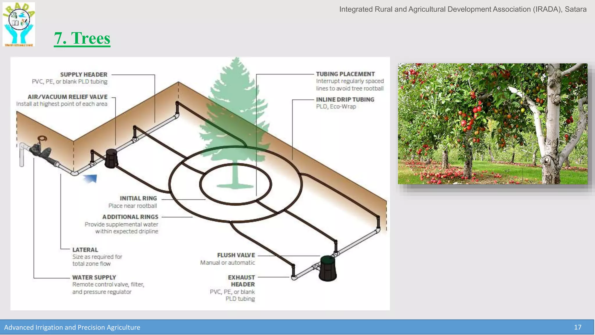 Layout of drip irrigation system | PPTX