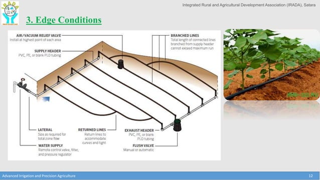 Layout of drip irrigation system | PPTX