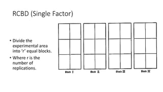 Layout of Agricultural field experiments | PDF