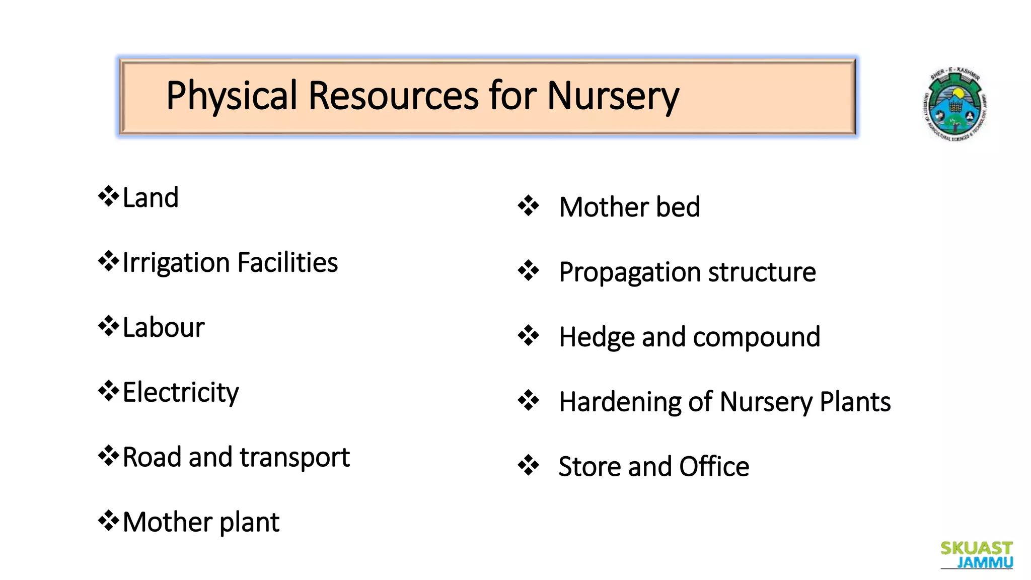 Layout of Hi-Tech Nursery, Pros and Cons.pptx
