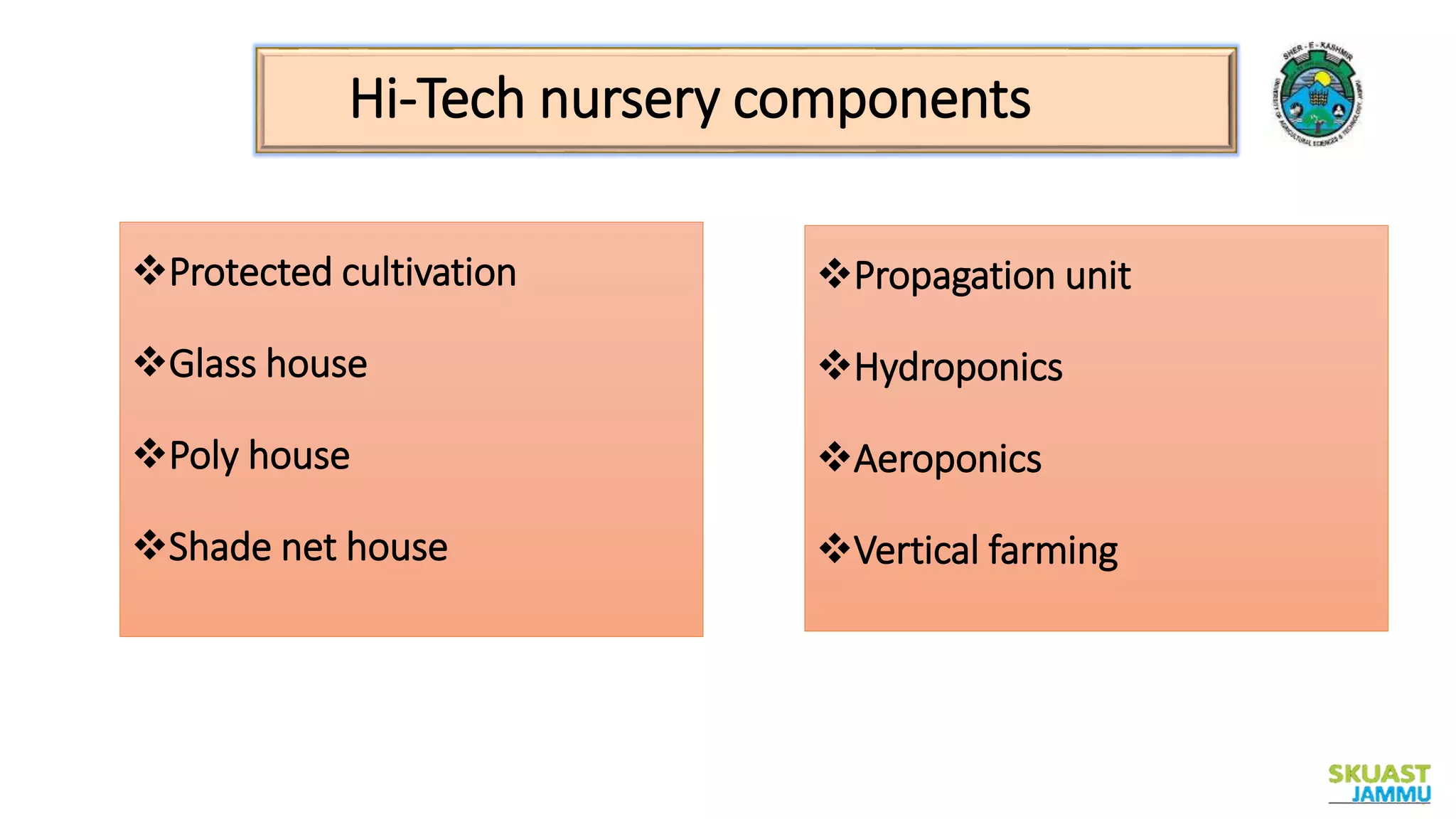 Layout of Hi-Tech Nursery, Pros and Cons.pptx