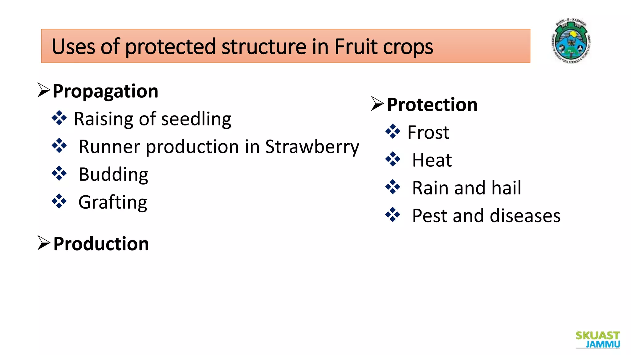 Layout of Hi-Tech Nursery, Pros and Cons.pptx