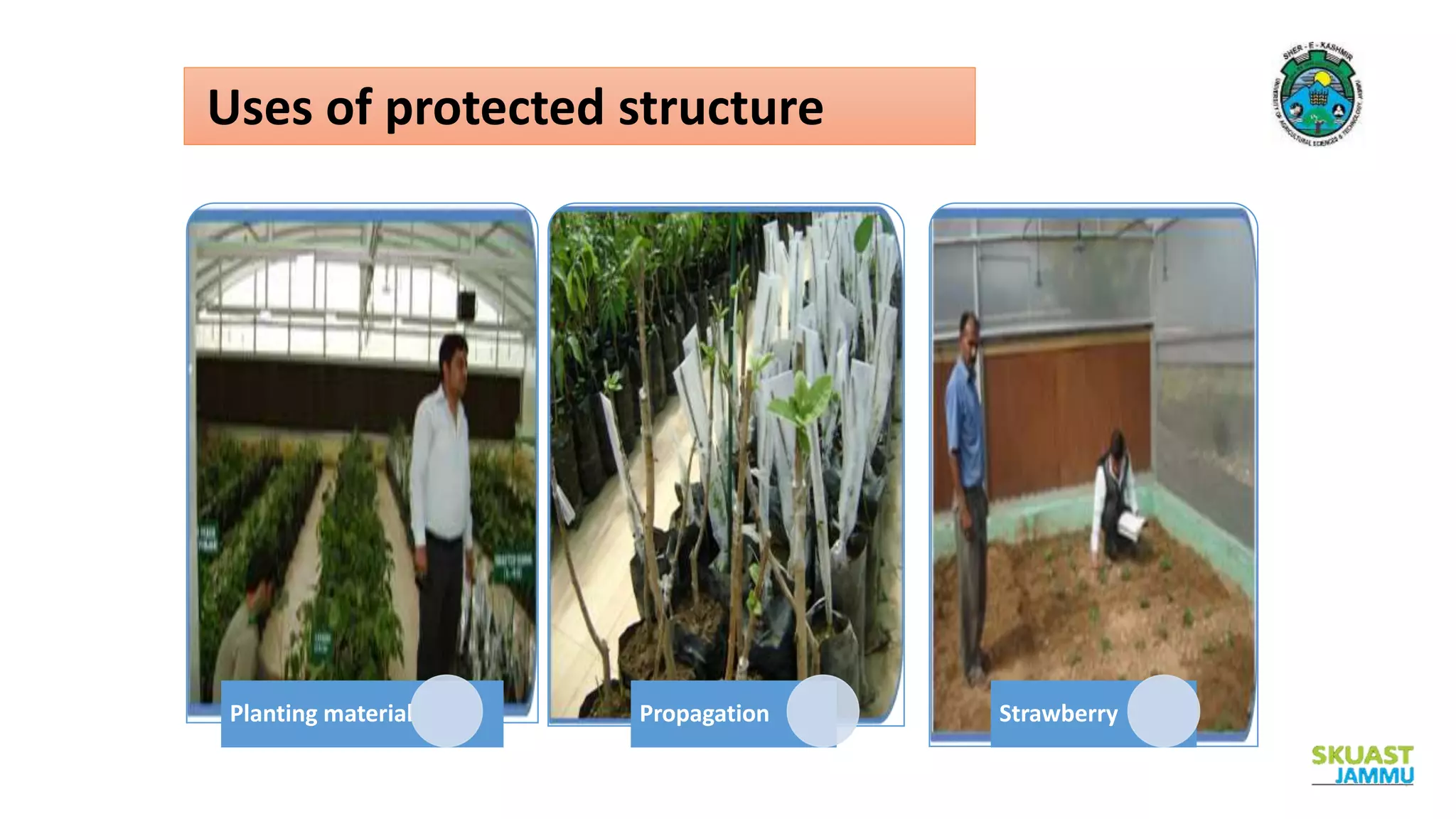 Layout of Hi-Tech Nursery, Pros and Cons.pptx