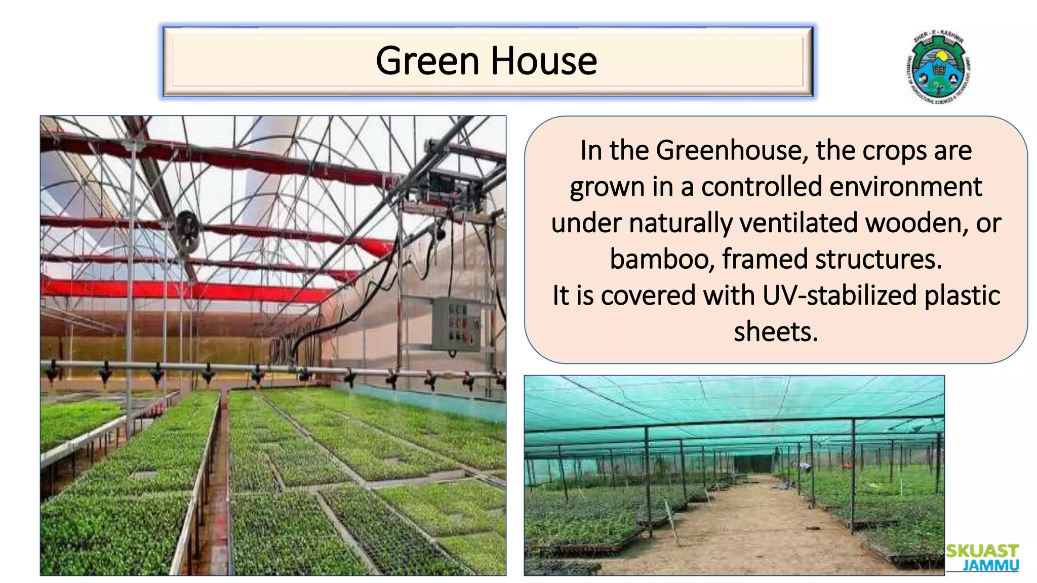 Layout of Hi-Tech Nursery, Pros and Cons.pptx