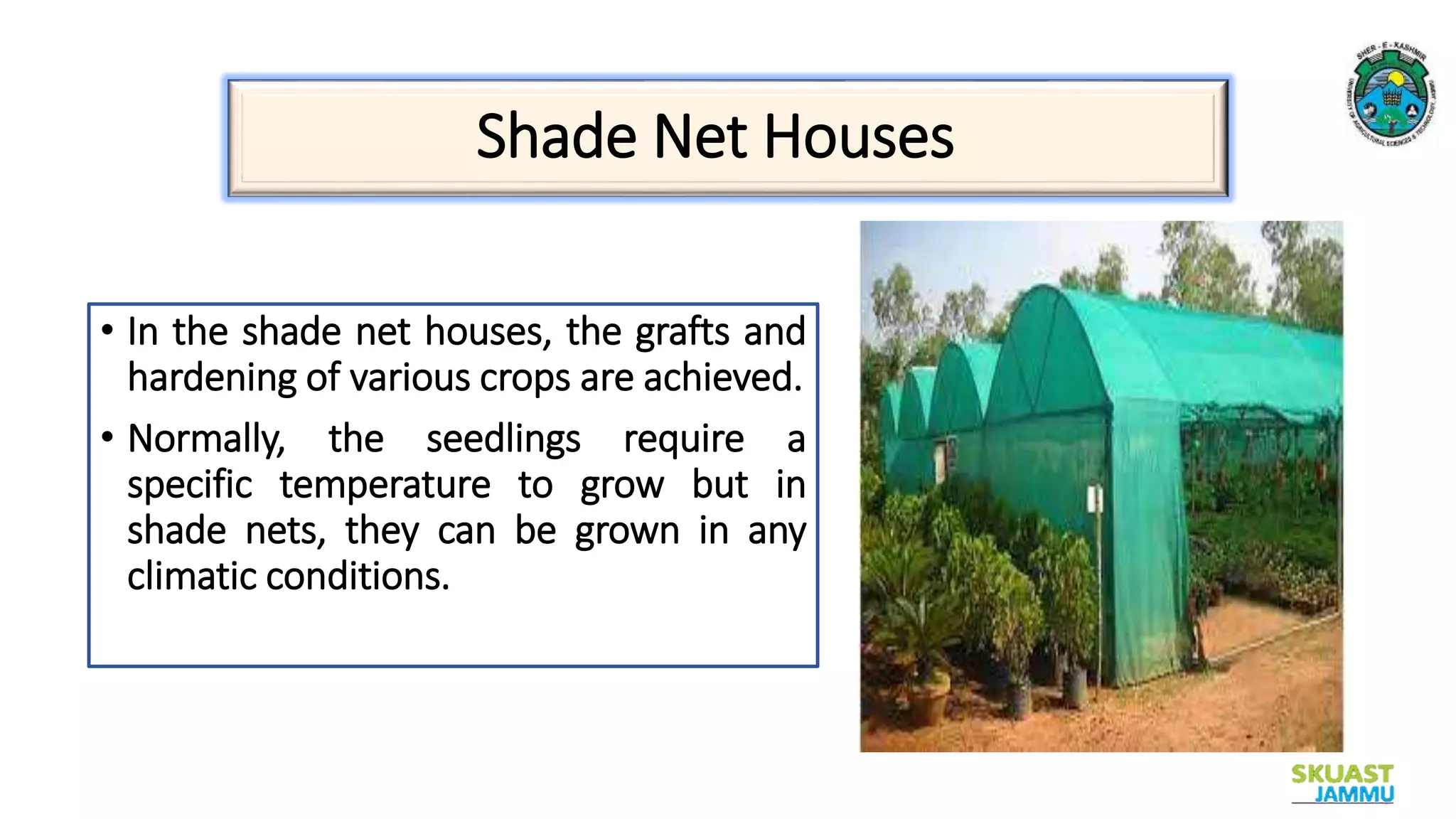 Layout of Hi-Tech Nursery, Pros and Cons.pptx