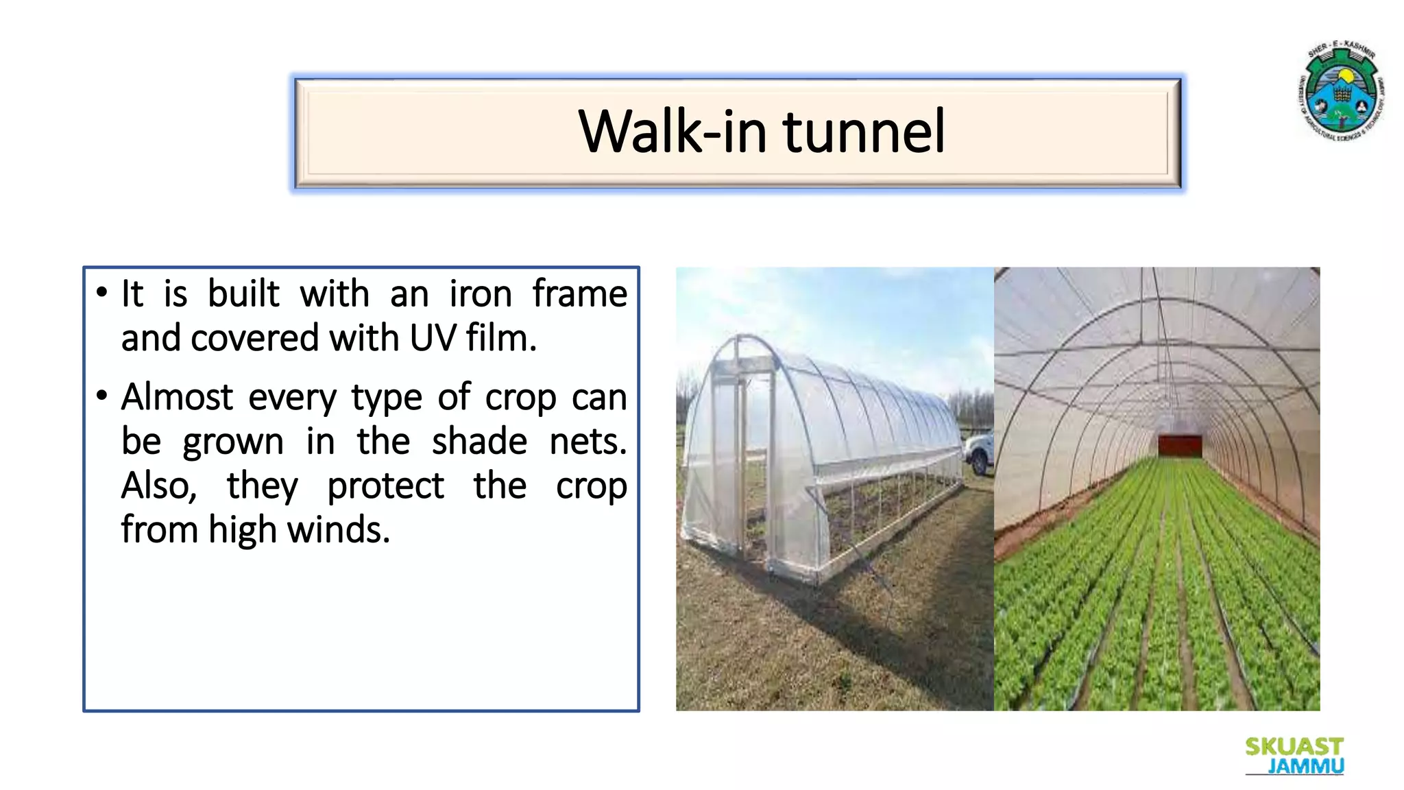 Layout of Hi-Tech Nursery, Pros and Cons.pptx