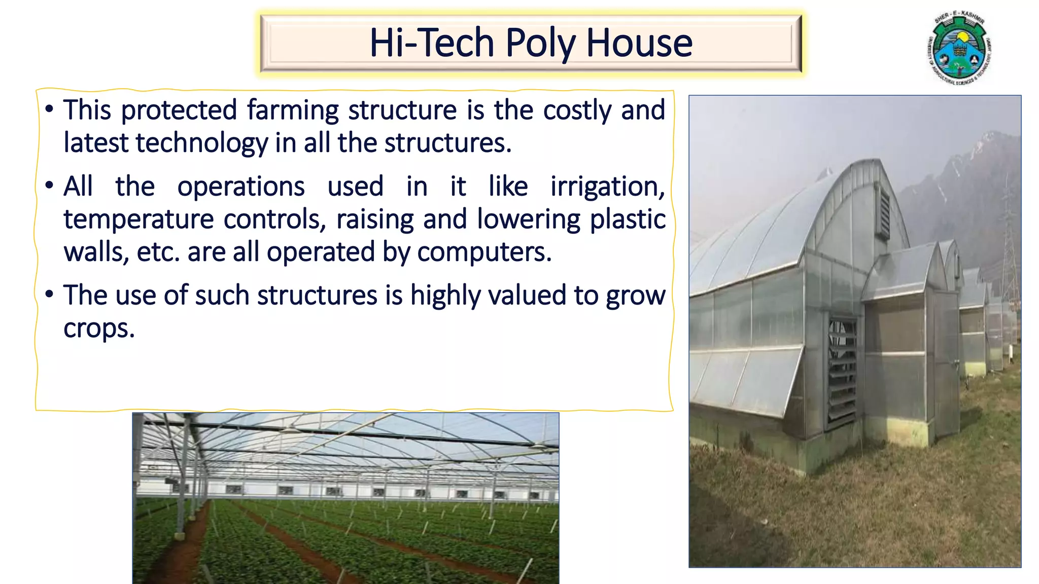 Layout of Hi-Tech Nursery, Pros and Cons.pptx