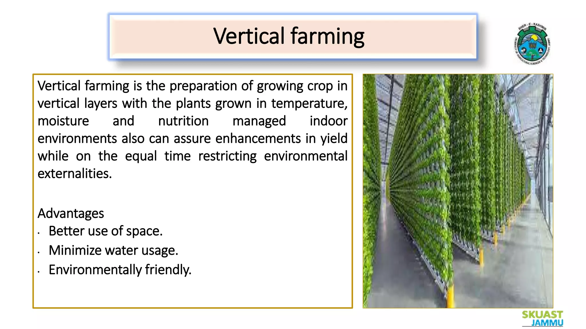 Layout of Hi-Tech Nursery, Pros and Cons.pptx
