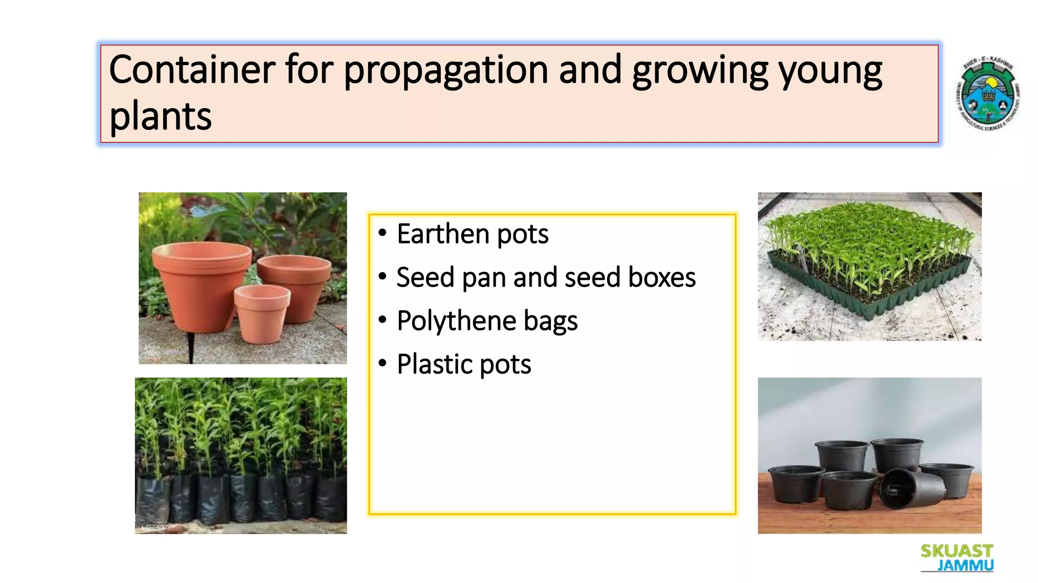 Layout of Hi-Tech Nursery, Pros and Cons.pptx