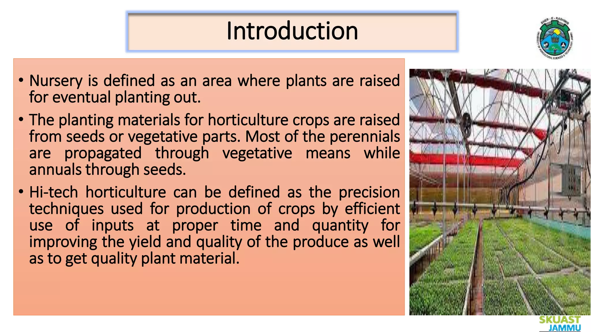Layout of Hi-Tech Nursery, Pros and Cons.pptx