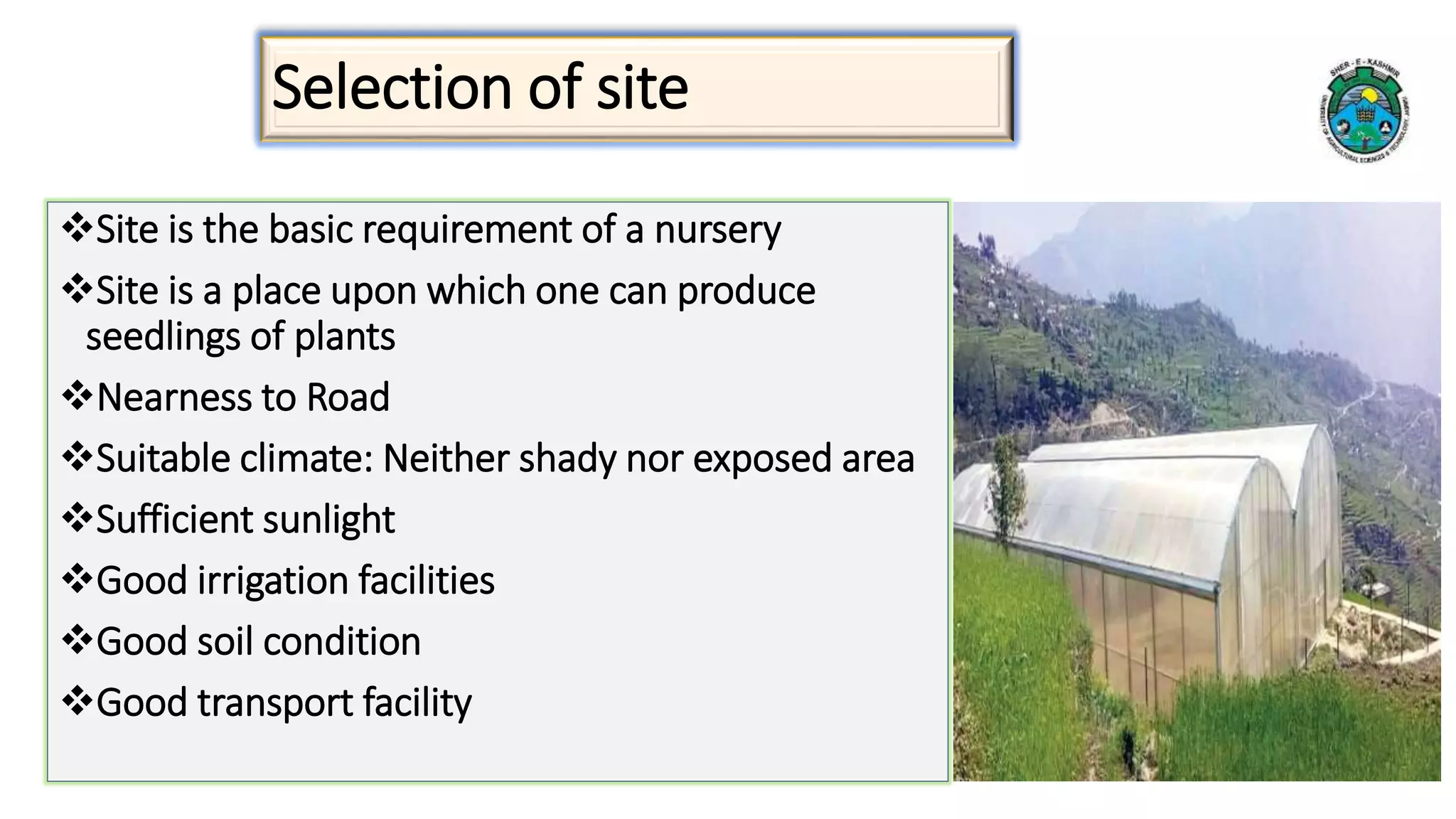 Layout of Hi-Tech Nursery, Pros and Cons.pptx