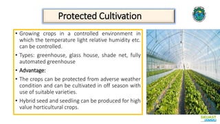 Layout of Hi-Tech Nursery, Pros and Cons.pptx