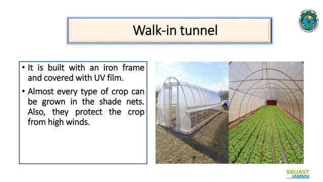 Layout of Hi-Tech Nursery, Pros and Cons.pptx