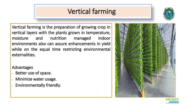 Layout of Hi-Tech Nursery, Pros and Cons.pptx