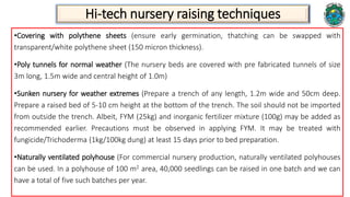 Layout of Hi-Tech Nursery, Pros and Cons.pptx