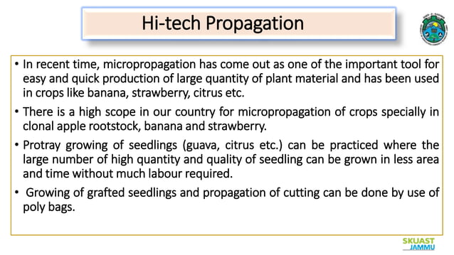 Layout of Hi-Tech Nursery, Pros and Cons.pptx