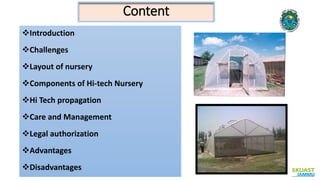 Layout of Hi-Tech Nursery, Pros and Cons.pptx