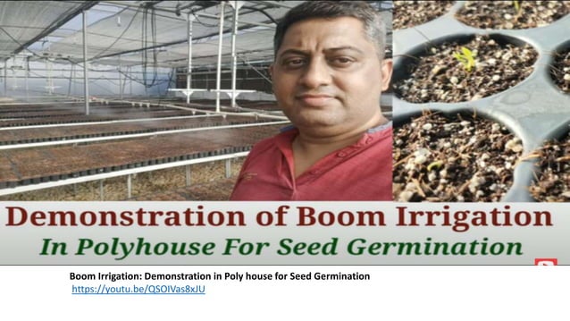 Layout of Hi-Tech Nursery, Pros and Cons.pptx