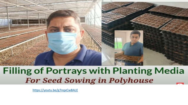 Layout of Hi-Tech Nursery, Pros and Cons.pptx