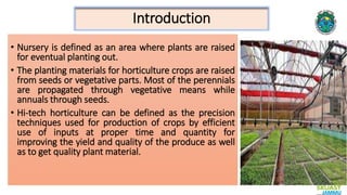 Layout of Hi-Tech Nursery, Pros and Cons.pptx