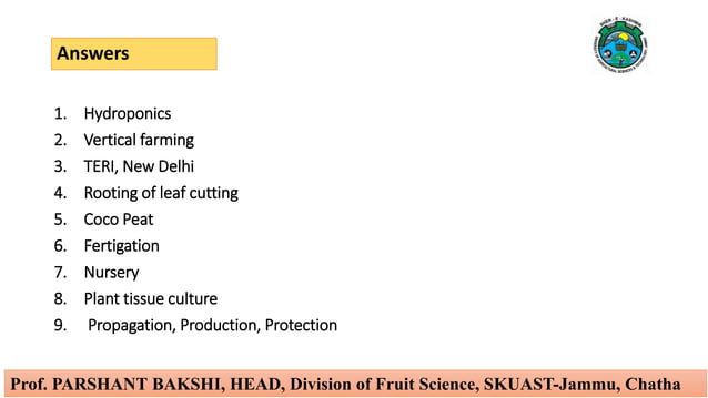 Layout of Hi-Tech Nursery, Pros and Cons.pptx
