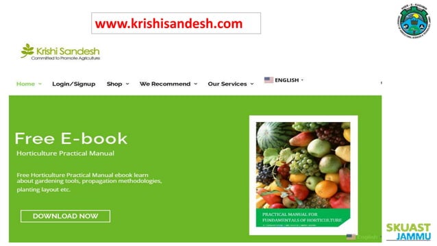 Layout of Hi-Tech Nursery, Pros and Cons.pptx