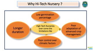 Layout of Hi-Tech Nursery, Pros and Cons.pptx