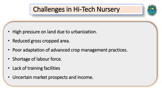Layout of Hi-Tech Nursery, Pros and Cons.pptx