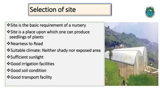 Layout of Hi-Tech Nursery, Pros and Cons.pptx
