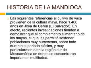 La yuca. nora graciela modolo | PPT