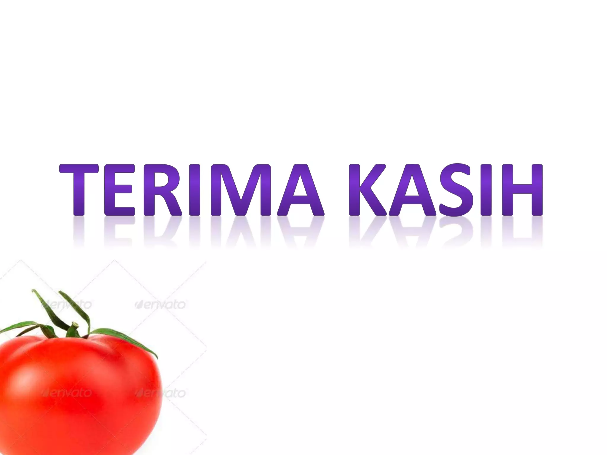 Layu Fusarium Tanaman Tomat | PPTX