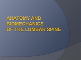 Low back pain assessment management treatment | PDF