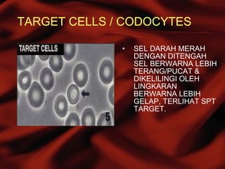 Lba analisa darah | PPT