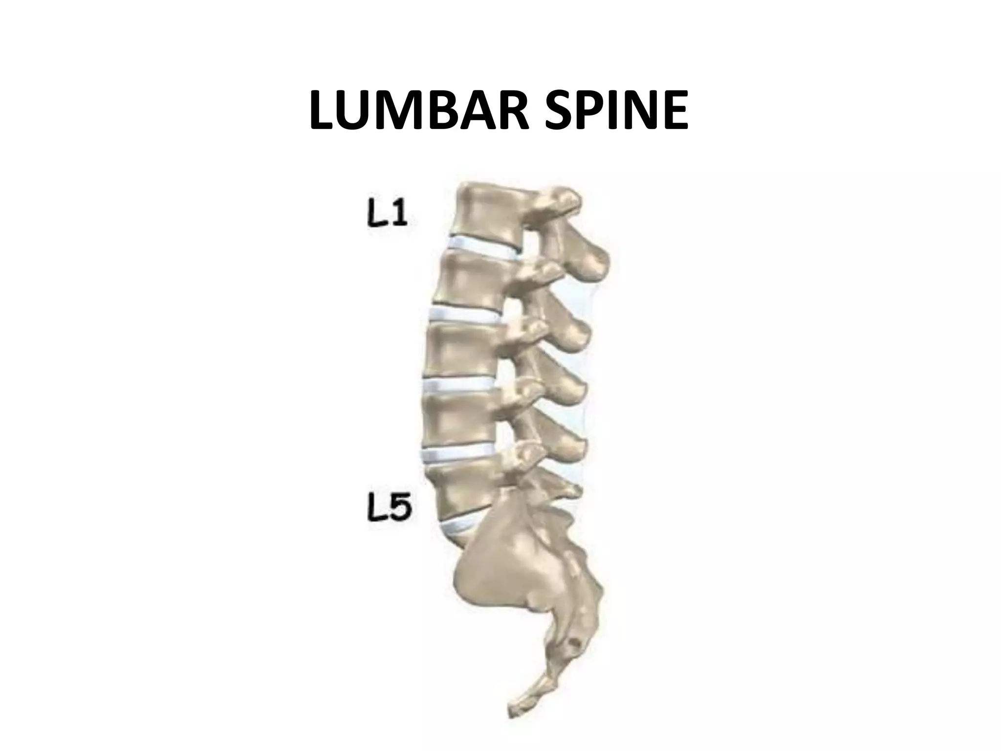 Prolapsed intervertebral disc | PPTX