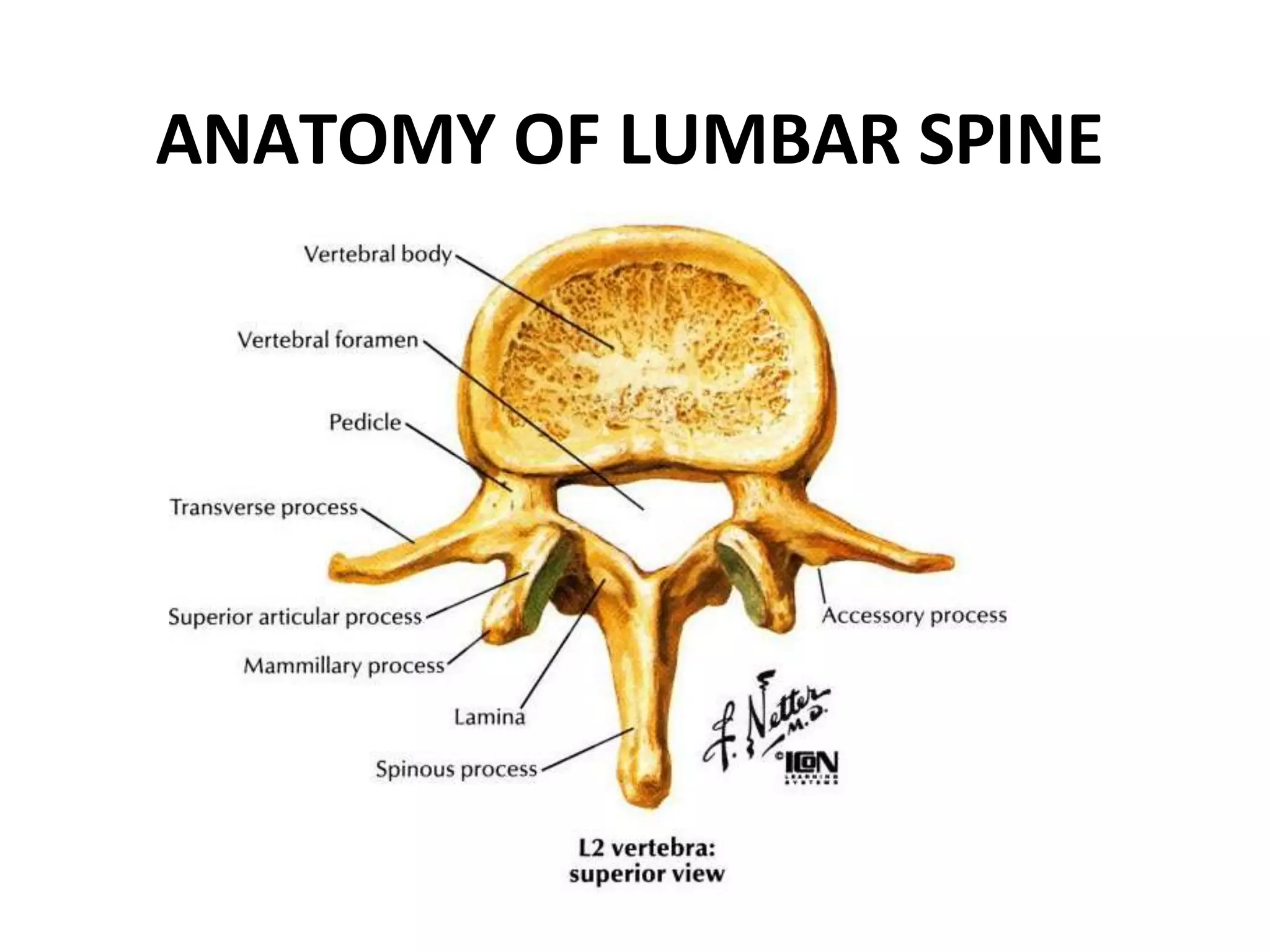 Prolapsed intervertebral disc | PPTX