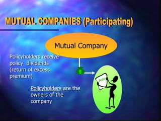 Life Insurance Basics 1 | PPT | Life Insurance | Insurance