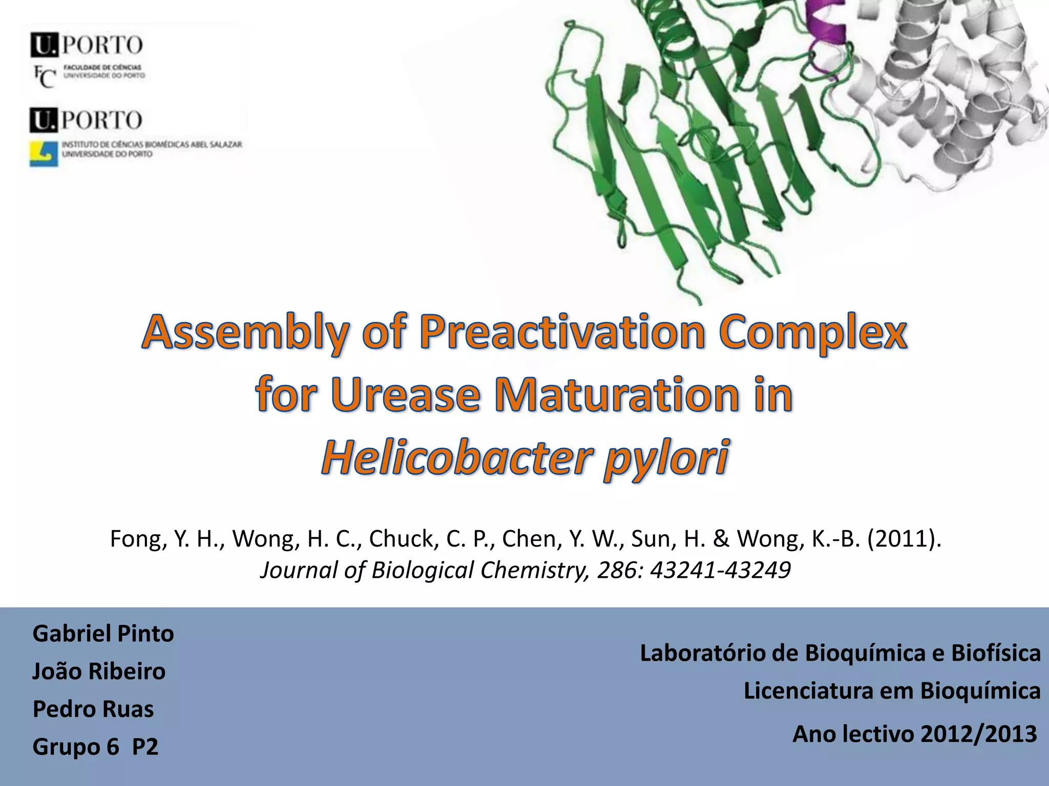 Assembly of Preactivation Complex for Urease Maturation in Helicobacter ...
