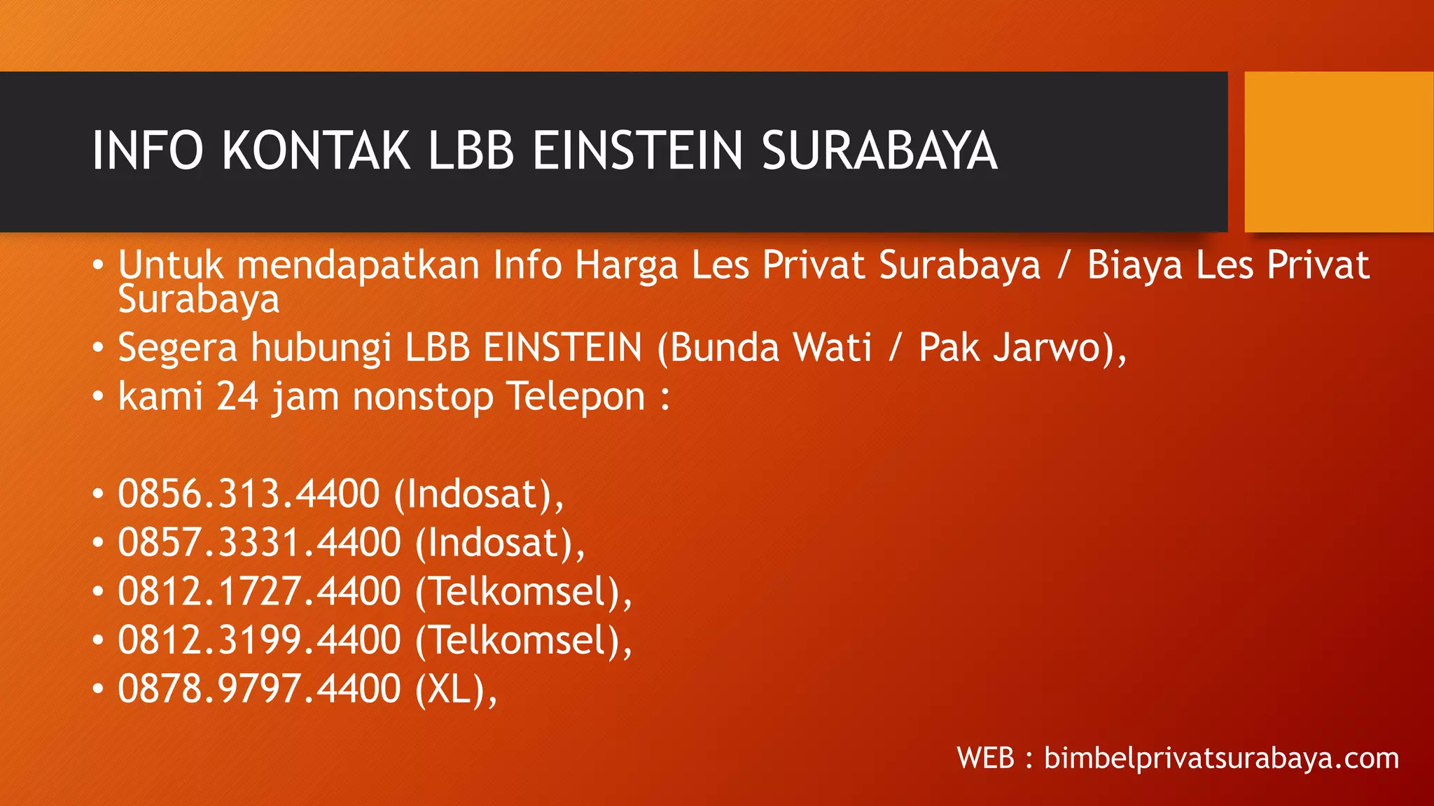 LBB EINSTEIN SURABAYA | PPTX