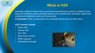 LBCG H2S slides JP.PPTX.ttyr4564564566546 | PPTX | Lung and Respiratory ...