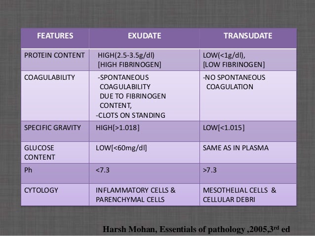 Inflammation Seminar by Dr Pratik