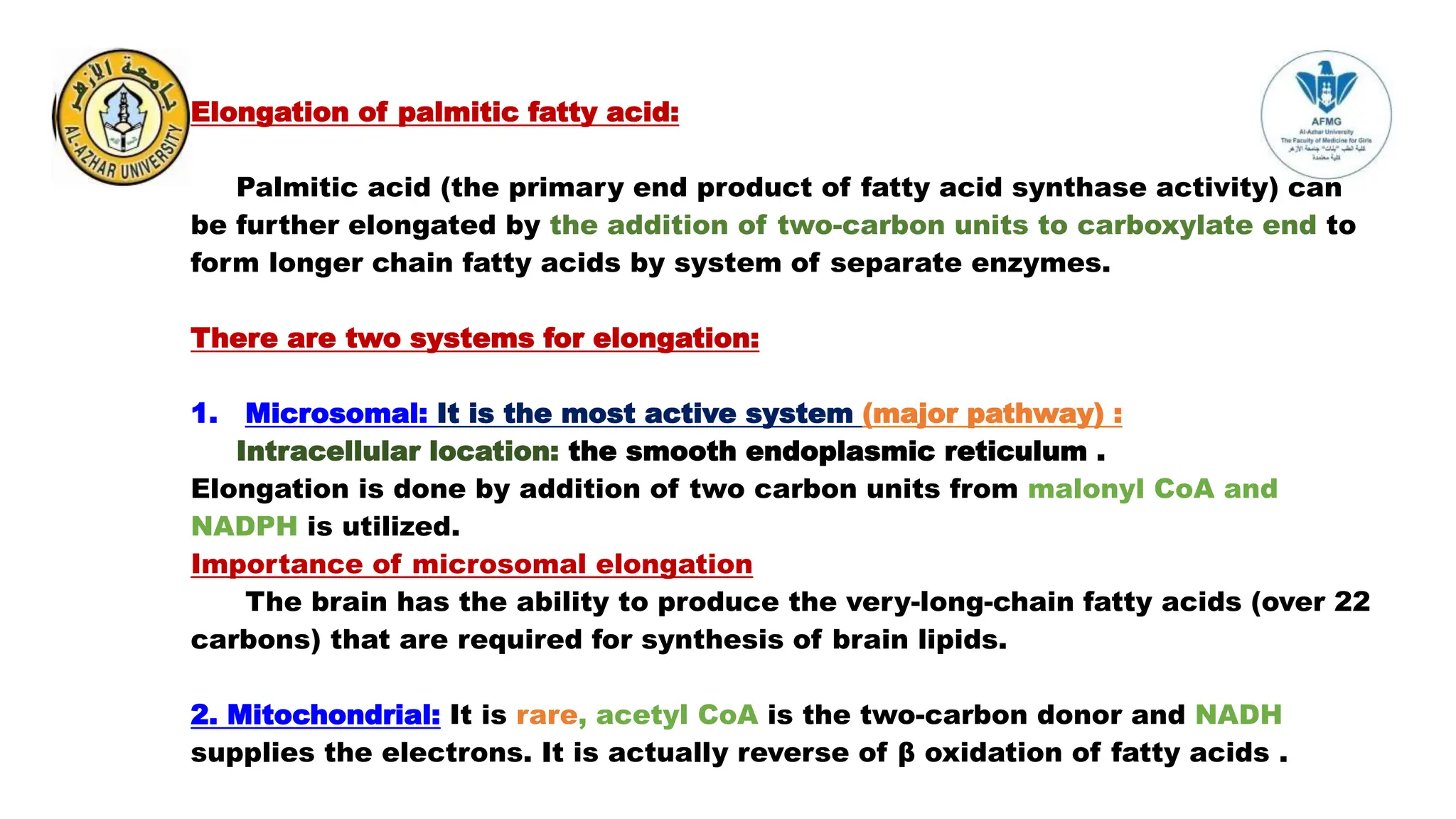 L bio10 Fatty acid biosynthesis.pptx