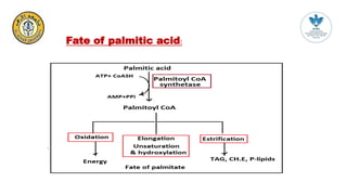L bio10 Fatty acid biosynthesis.pptx