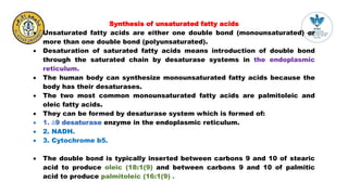 L bio10 Fatty acid biosynthesis.pptx