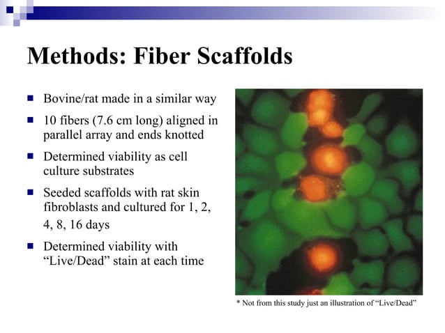 Lbl Example Ecm Mechanics 04 | PPT