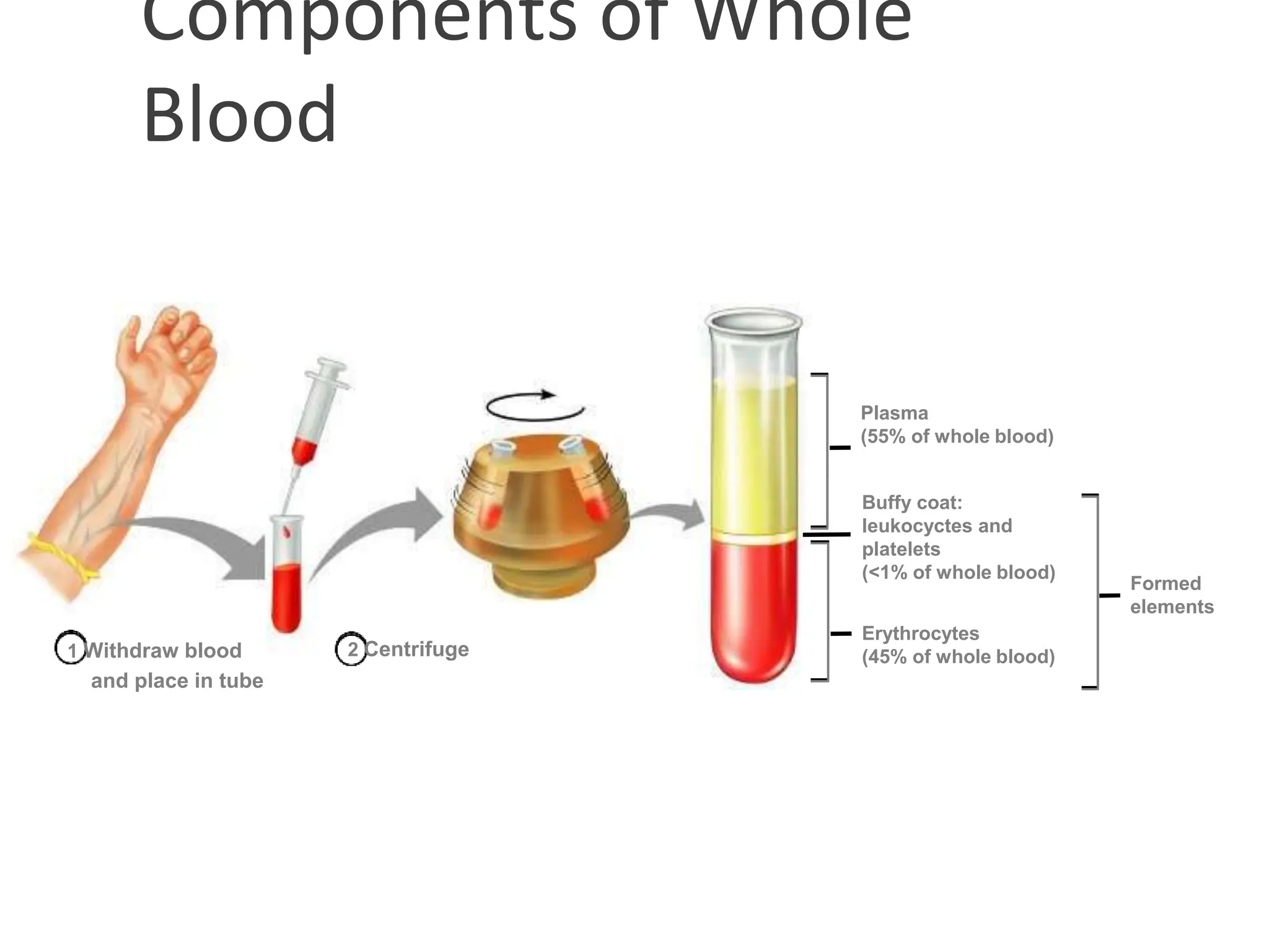 LBM 1 - fisiologi darah.pptx ........... | PPTX