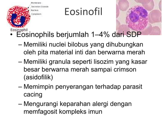 LBM 1 - fisiologi darah.pptx ........... | PPT