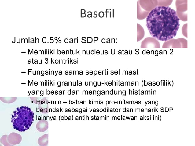 LBM 1 - fisiologi darah.pptx ........... | PPT
