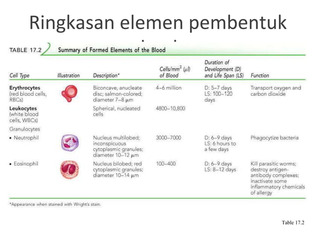 LBM 1 - fisiologi darah.pptx ........... | PPT